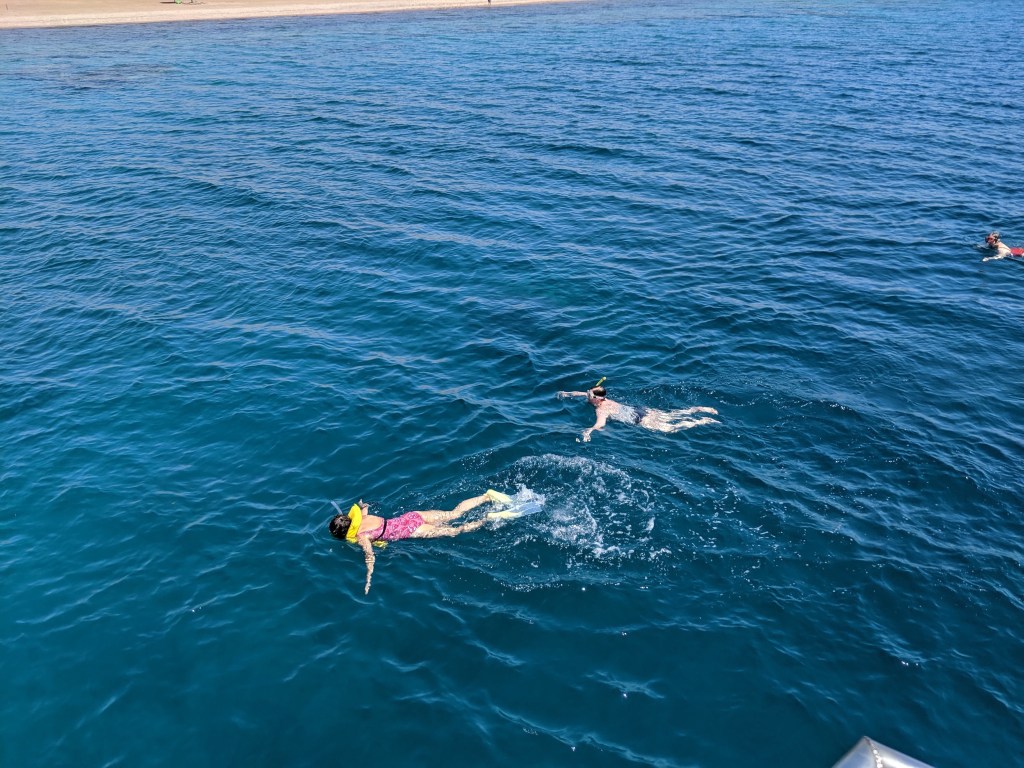 Turtles within touching distance - Jim Murty’s TravelTravelTravel